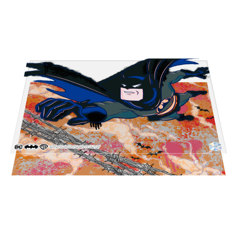The Cat and The Claw: Part 1: Batman Falling #1102 (Batman Animation ...
